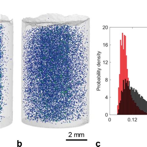 Three Dimensional Visualisation Of Inclusions Within Each Sample