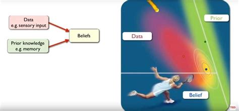 Insights From The Bayesian Brain Theory