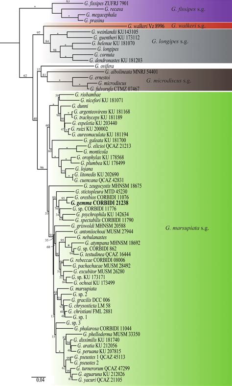Maximum Likelihood Optimal Tree Log Likelihood 36764630331