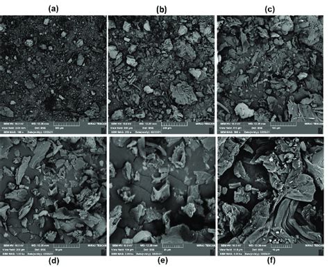 Mf Micrographs At 100× To 4000× Magnification Performed In Sem