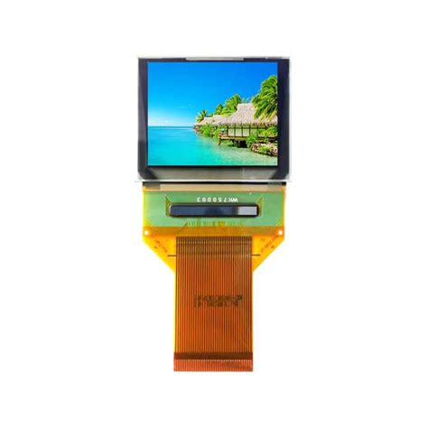 Inch Color OLED Display PMOLED Screen Panel Pin SEPS Controller IC Small TFT
