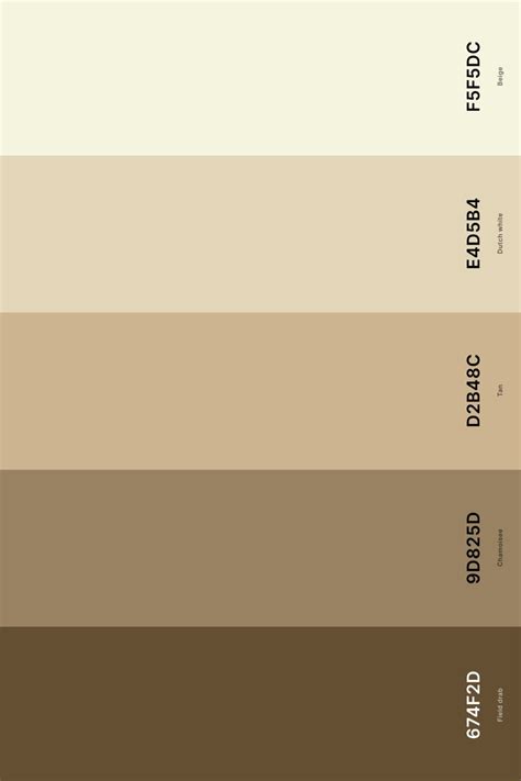 25 Best Beige Color Palettes With Names And Hex Codes Artofit