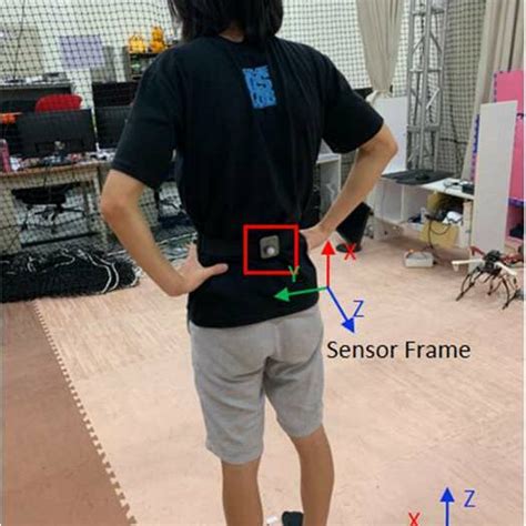 Hardware Architecture Of Signal Processing Download Scientific Diagram