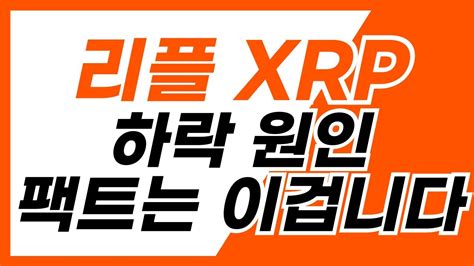 리플 와 이거 진짜인가요 Youtube