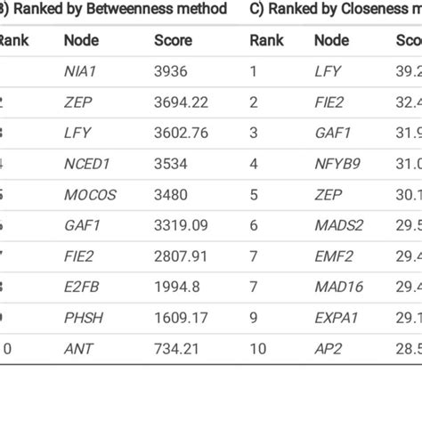 Analysis Degree Betweenness Closeness Centrality And Cluster Analysis Download Scientific