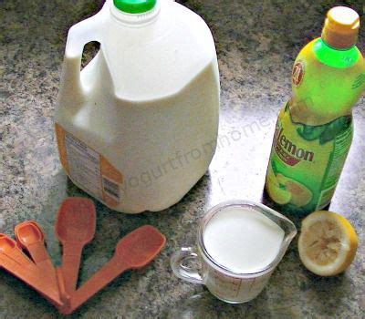 Kefir Vs Buttermilk Which Is Better For Baking Substitutes Io