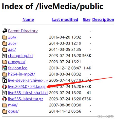 live555在windows wsl2中编译、运行，搭建rtsp流服务器