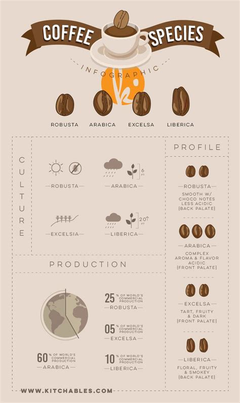 Infographic Types Of Coffee Species Coffeerama Coffee Facts Coffee Type Coffee Flavor