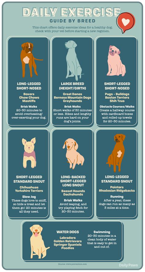 How To Stop Puppy Aggression: Signs & Calming Methods