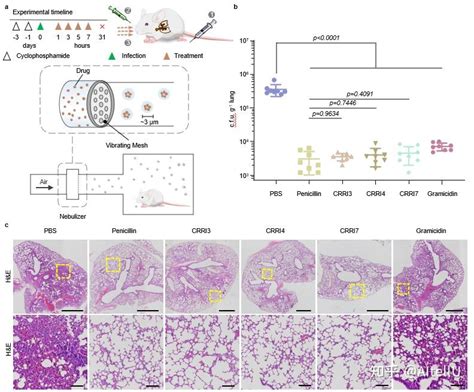Nat Biomed Eng 机器学习pipeline全文库挖掘抗菌肽 知乎 Nat Biomed Eng 机器学习pipeline全文库挖掘抗菌肽 知乎