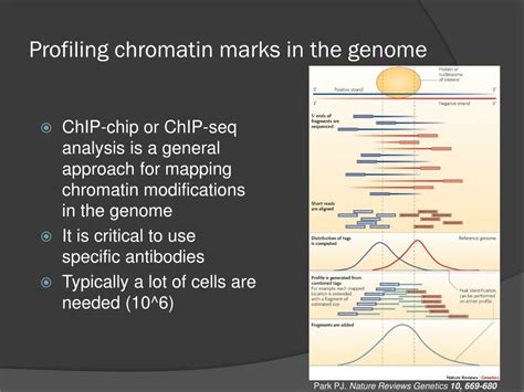 Ppt Outline Powerpoint Presentation Free Download Id2251170