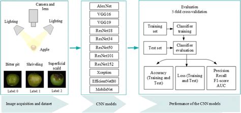Diagram Of The Proposed Classifier Model Download Scientific Diagram