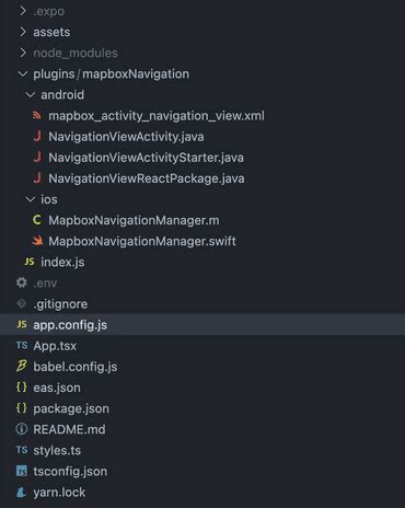 Installing Native Modules In The EAS Build Process Theodo