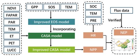 Improved Casa Based Net Ecosystem Productivity Estimation In China By Incorporating