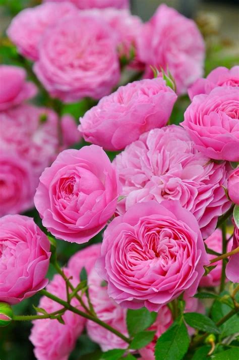 Lynn Wang Posted On Linkedin