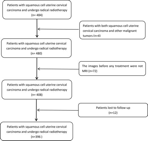 Flowchart For Selecting Patients Download Scientific Diagram