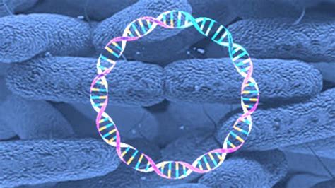 Revolutionizing Genetic Research And Health With Nanopore Whole Plasmid Sequencing Technology