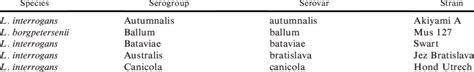 Leptospira Strains Used In Mat Assay Download Scientific Diagram
