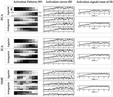 sensors free full text a semg force estimation framework based on a