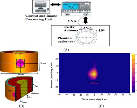 A Layout Of Setup For The Procedure Of Microwave Imagining Mwi B