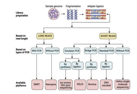 bavadharani a on linkedin ngs genomics sequencing bioinformatics