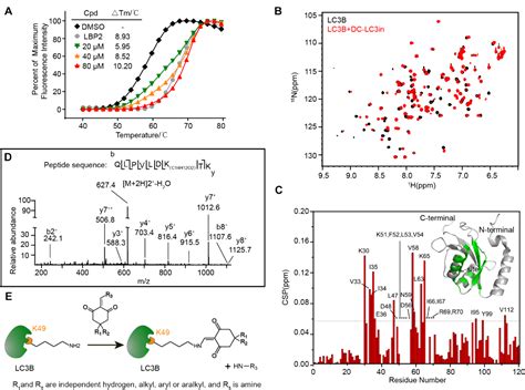 Inhibition Of Autophagy By A Small Molecule Through Covalent