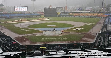 1시간전 갑작스러운 폭우→진흙뻘로 변한 그라운드 대전경기 20분만에 우천취소 대전현장