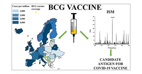 Tuberculosis Vaccine