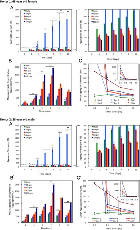 Measurement Of Mean Aggregate Size A And A Mean Aggregate Download Scientific Diagram