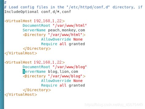 Linux下使用Apache部署Web网站 二 配置使用域名访问网站 linux配置apache服务器使用域名访问 CSDN博客