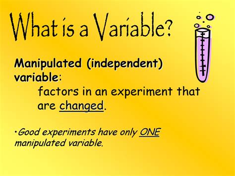 The Scientific Method Ppt Download