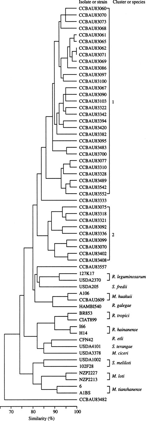 Dendrogram Showing The Results Of Numerical Taxonomy Based Upon 134