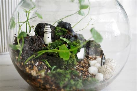 집콕취미 추천 이끼 키우기 미니정원 이끼 테라리움 만들기 네이버 블로그