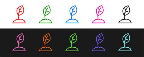 흑백 배경에 격리 된 세트 새싹 아이콘 종묘와 묘목 나뭇잎 기호 잎 자연 벡터 0명에 대한 스톡 벡터 아트 및 기타 이미지