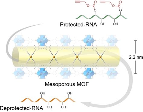 Mesoporous Metalorganic Frameworks For Catalytic Rna Deprotection And