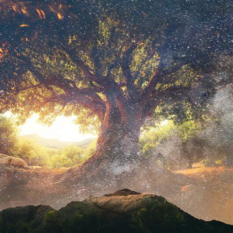 Discover An Indigenous Approach To Intergenerational Healing The