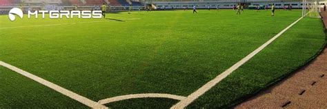 Difference Between 3g And 4g Pitch Mighty Grass