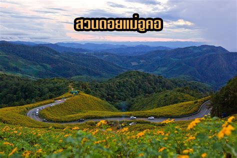 🌼 หน้าหนาวนี้ สวนดอยแม่อูคอ ที่พักทุ่งดอกบัวตอง