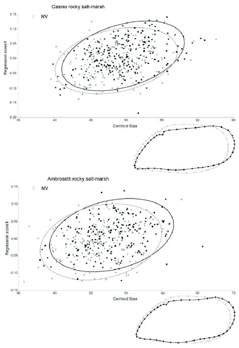 Regression Of Shell Shape Onto Centroid Size Illustrating Allometric