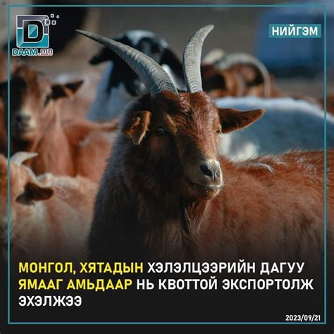 Ineemseglel Малчид ч мал болж дээ😡 Төрийнхөн бол угаасаа та нарын эсрэг ажиллаж байгаа шдээ 🚫