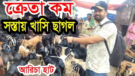 ২০২৫ আরিচা হাটে ক্রেতা কম সস্তায় খাসি ছাগল বিক্রি হচ্ছে Polash Vlogs Pc Youtube