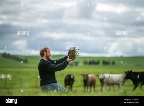 Studying Soil Biology And Soil Life On A Farm Stock Photo Alamy