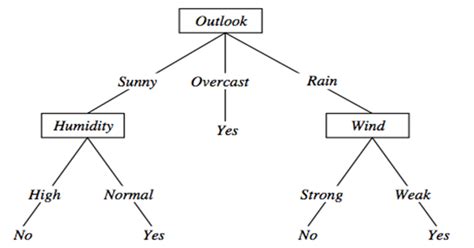Decision Tree Representation In Machine Learning