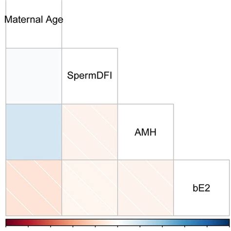 Correlation Heat Maps Of Female Age Sperm Dfi Amh And E2 Dfi Dna Download Scientific
