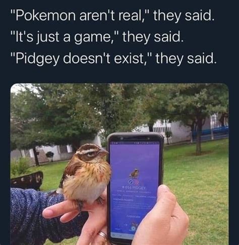 Gotta Catch Em All~ Rtwicememes