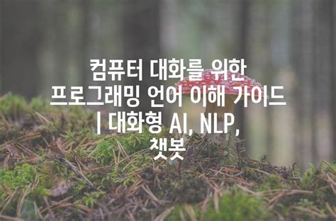 컴퓨터 대화를 위한 프로그래밍 언어 이해 가이드 대화형 Ai Nlp 챗봇