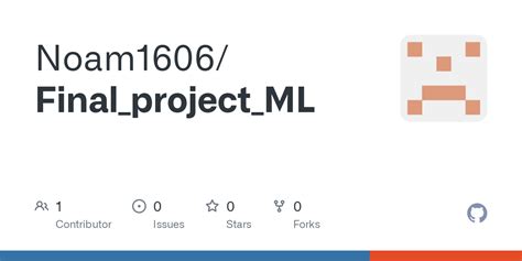 GitHub Noam Final Project ML