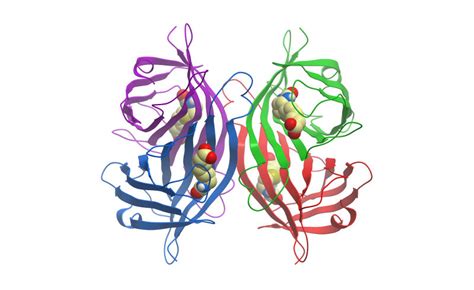 Streptavidin Jackson Immunoresearch