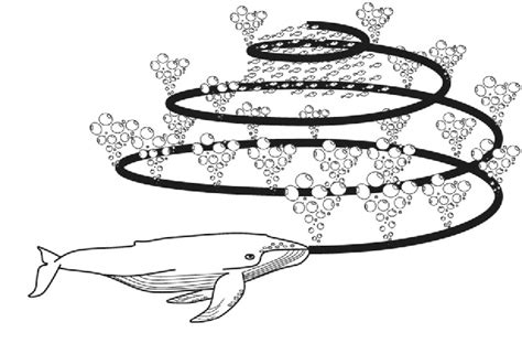 Figure 2 From A Modified Whale Optimization Algorithm For Parameter Estimation Of Software