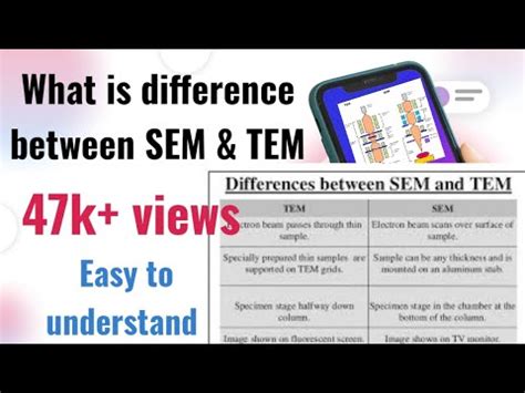 What is difference between SEM & TEM - YouTube